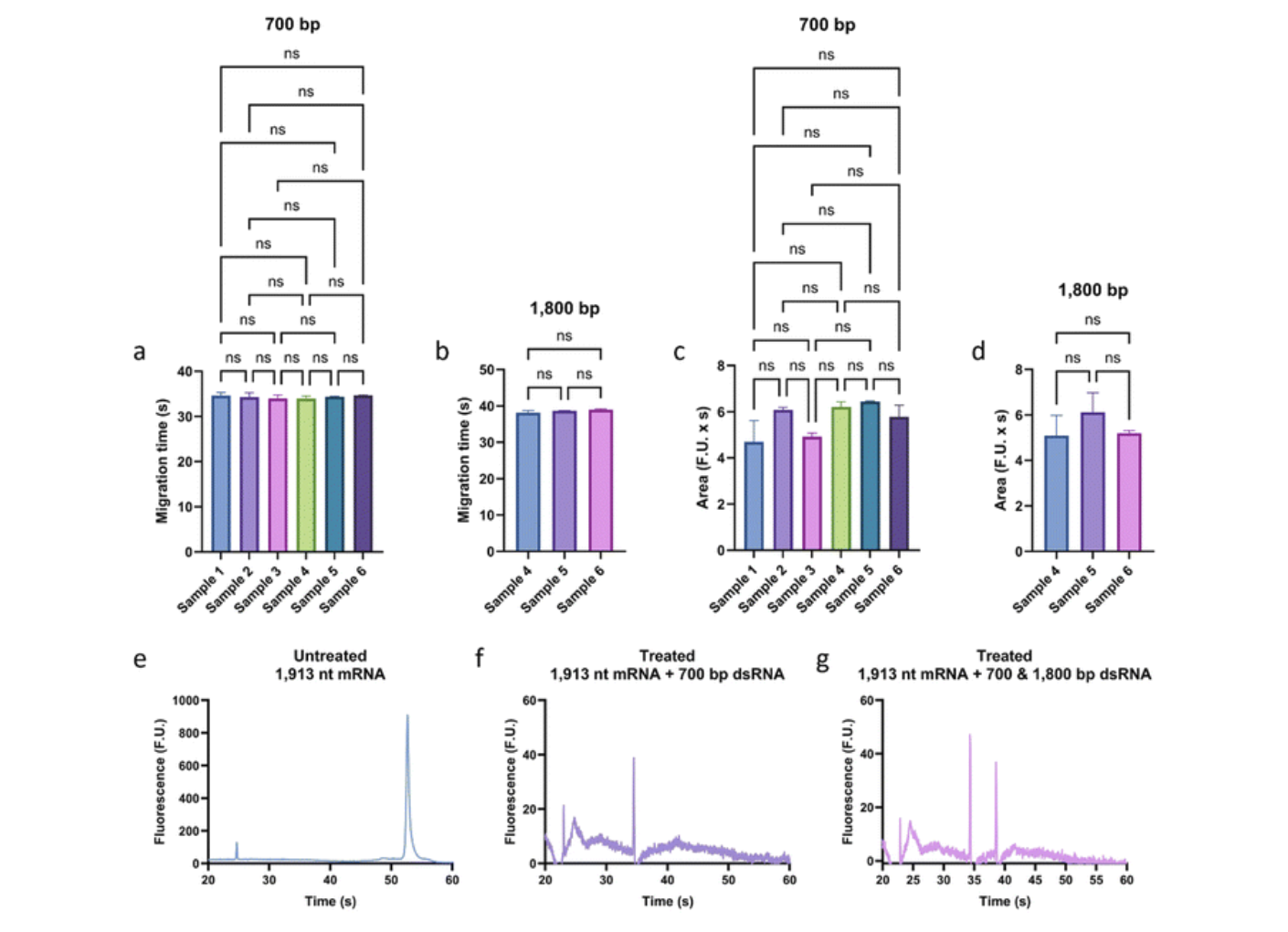Double Stranded Rna Dsrna The Byproduct Of Ivt